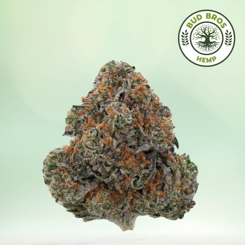 Blueberry THCa Flower - Bud Bros Hemp